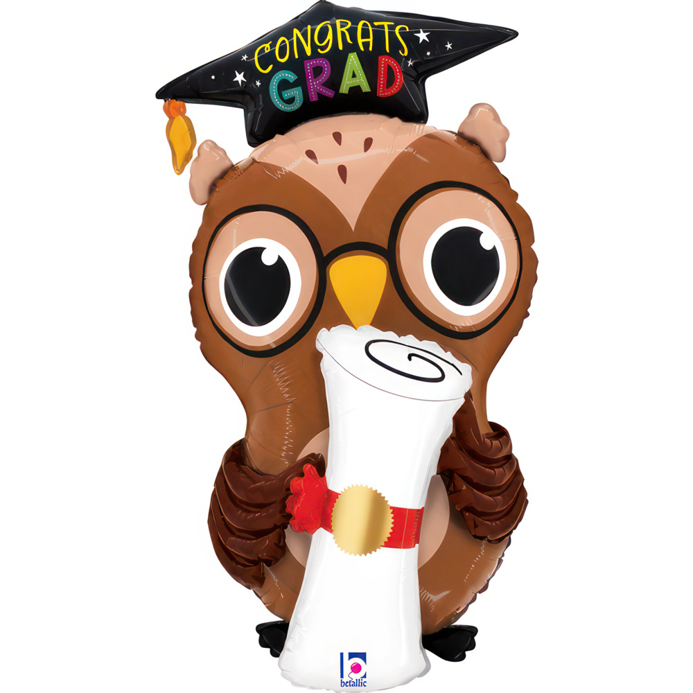 Balloon Grad Owl Diploma multicolor